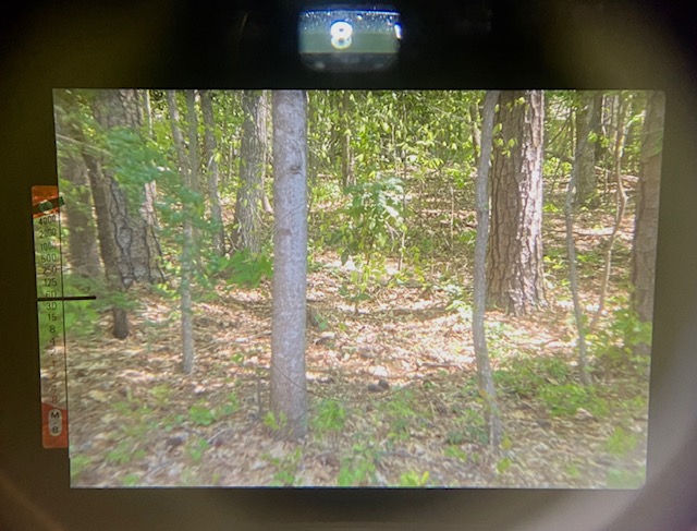 Manual and Semi-Auto – what does it really mean? – CamerAgX – a new ...