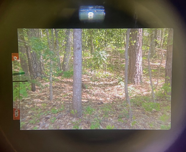 Manual and Semi-Auto – what does it really mean? – CamerAgX – a new ...